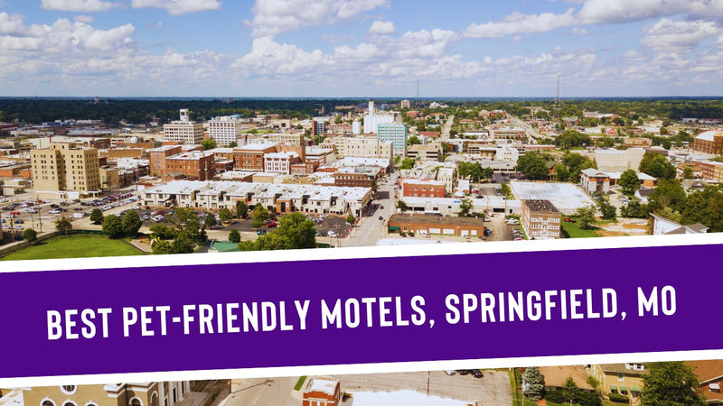 8 Luxurious Hotel Suites in Springfield, MO - Discover Springfield, MO